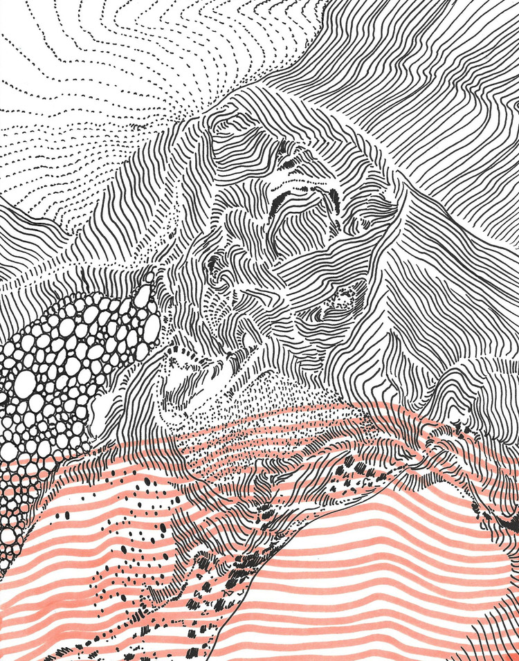 Art Focus: Fin Lee a.k.a. LOSTBOY Illustrations – feather + fir